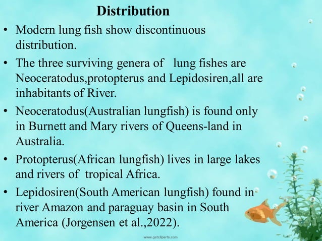 25.Lung fish, evolutionary history and economic importance | PDF