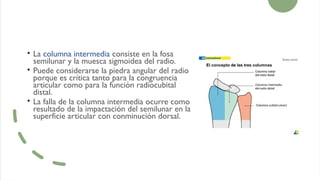 Fracturas de radio distal en niños y adultos mayores | PPTX