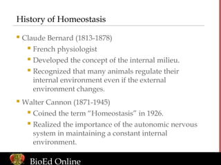 25.ppthfygyujbnk vjbnm nbbkbjjjjjjjvhgcvgc | PPT