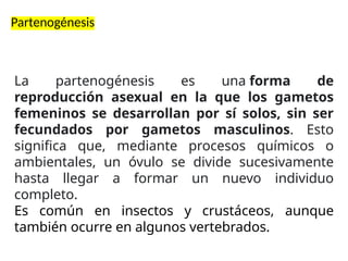 25. Reproducción de la celula en biologia | PPTX