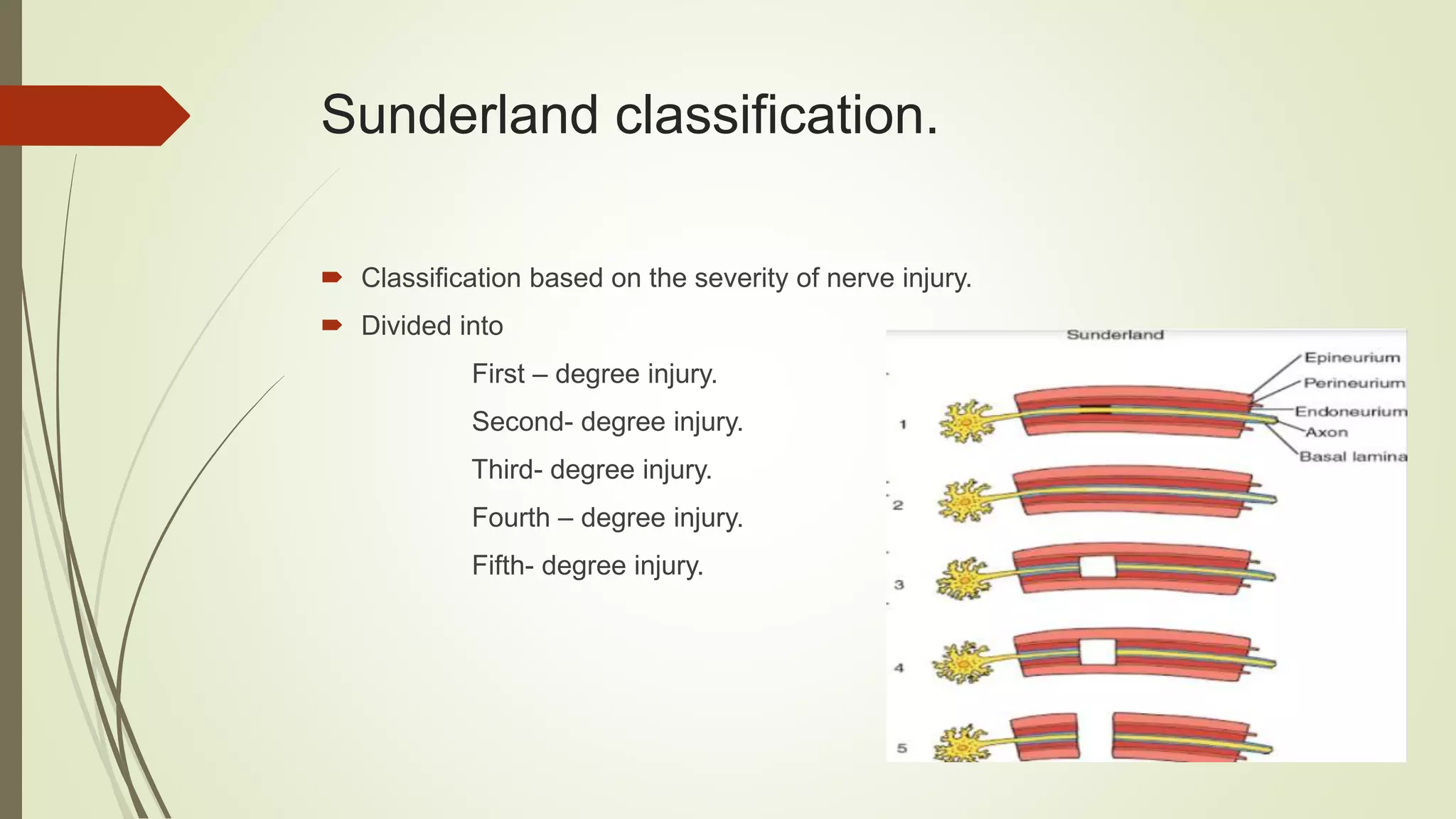 classification and diagnostic methods of peripheral nerve injury | PPTX