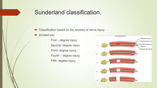 classification and diagnostic methods of peripheral nerve injury | PPTX