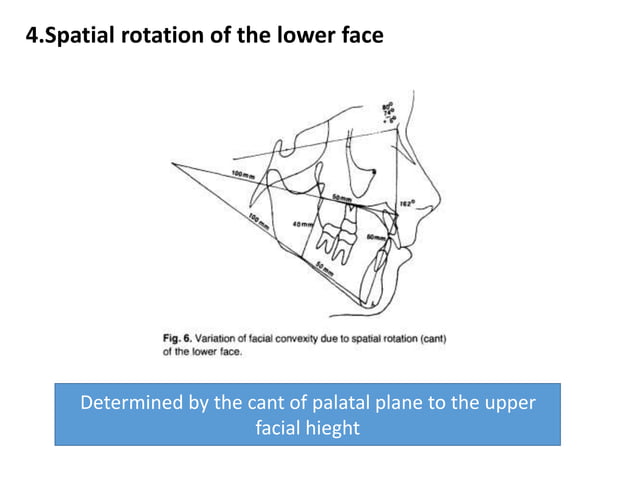 dipaolos analysis point A revisited with articles | PPTX