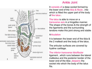 25-Ankle joint tafffffffffffffrsal.ppt