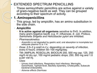 Antimicrobial Drugs | PPT