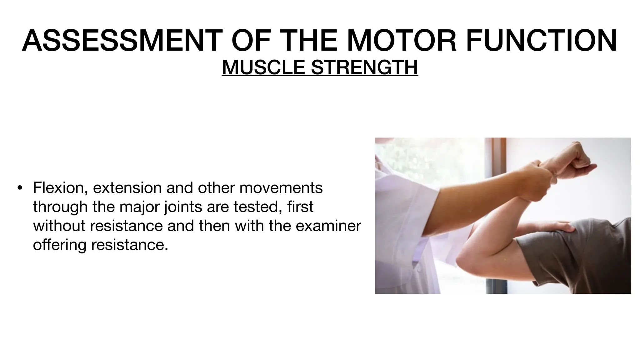 Assessment of the Spinal Nerves (The Sensory and Motor Functions) & The ...