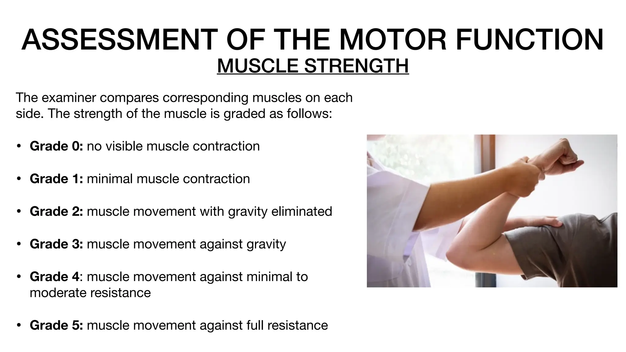 Assessment of the Spinal Nerves (The Sensory and Motor Functions) & The ...