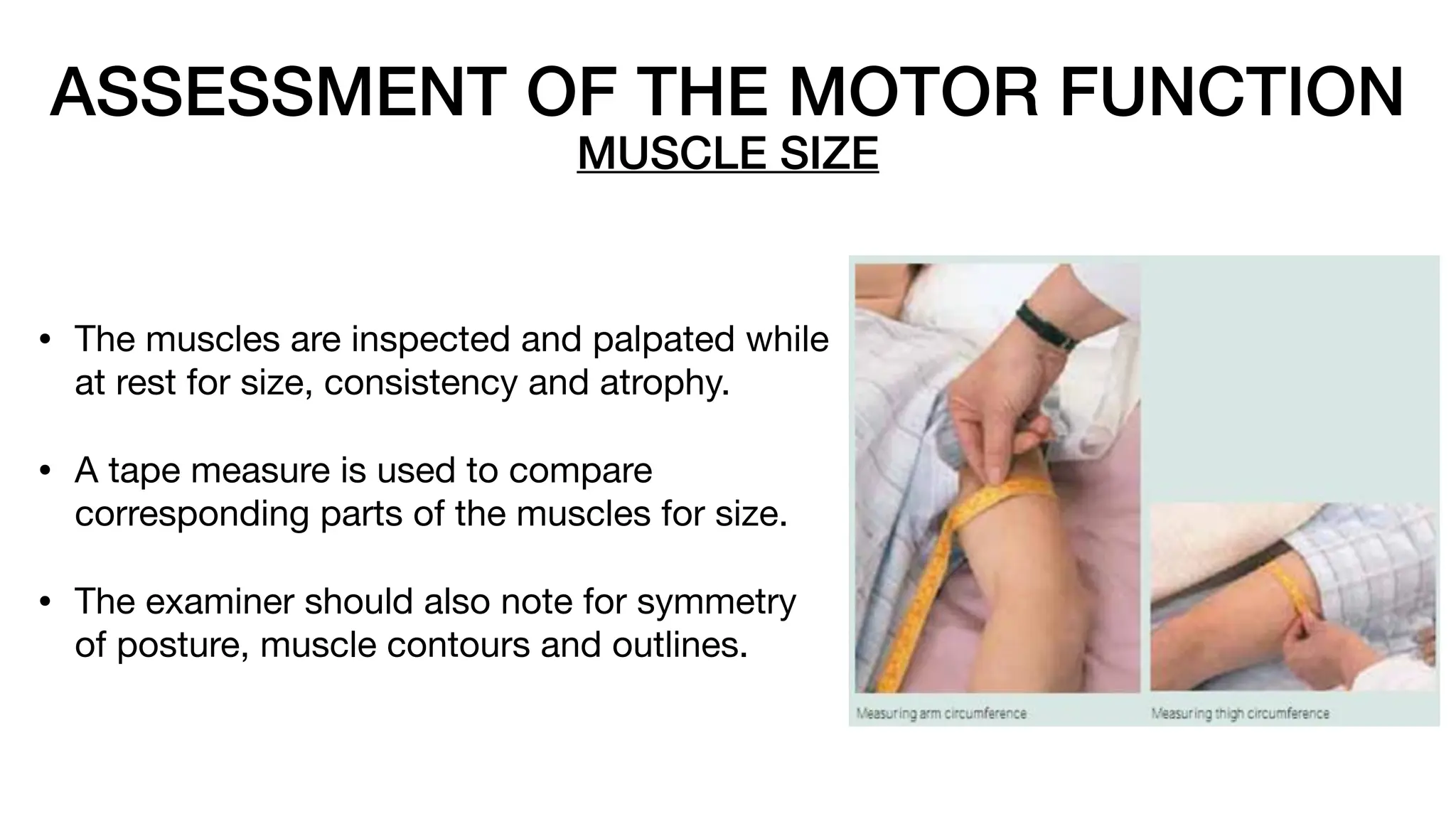 Assessment of the Spinal Nerves (The Sensory and Motor Functions) & The ...