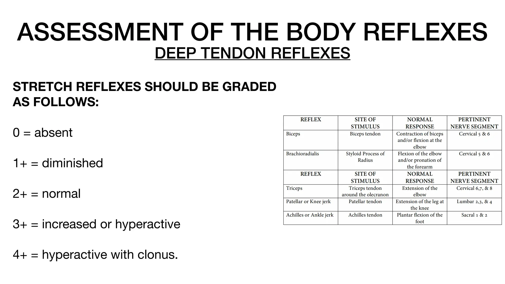 Assessment of the Spinal Nerves (The Sensory and Motor Functions) & The ...