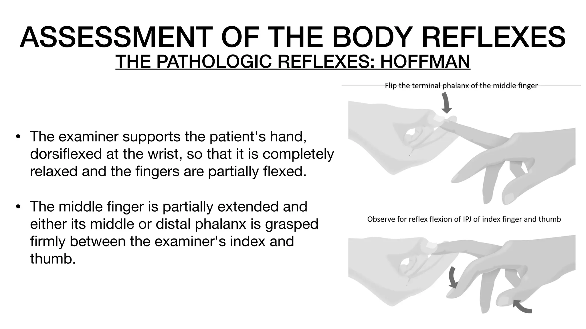 Assessment of the Spinal Nerves (The Sensory and Motor Functions) & The ...