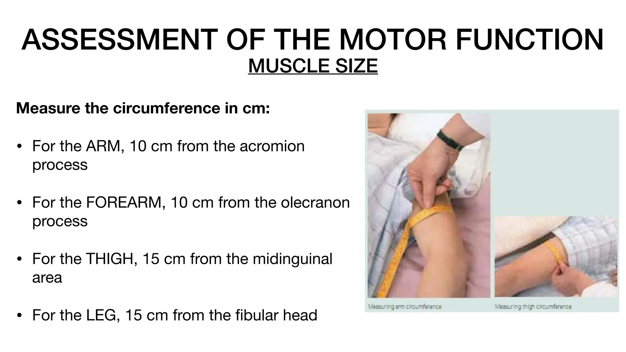 Assessment of the Spinal Nerves (The Sensory and Motor Functions) & The ...