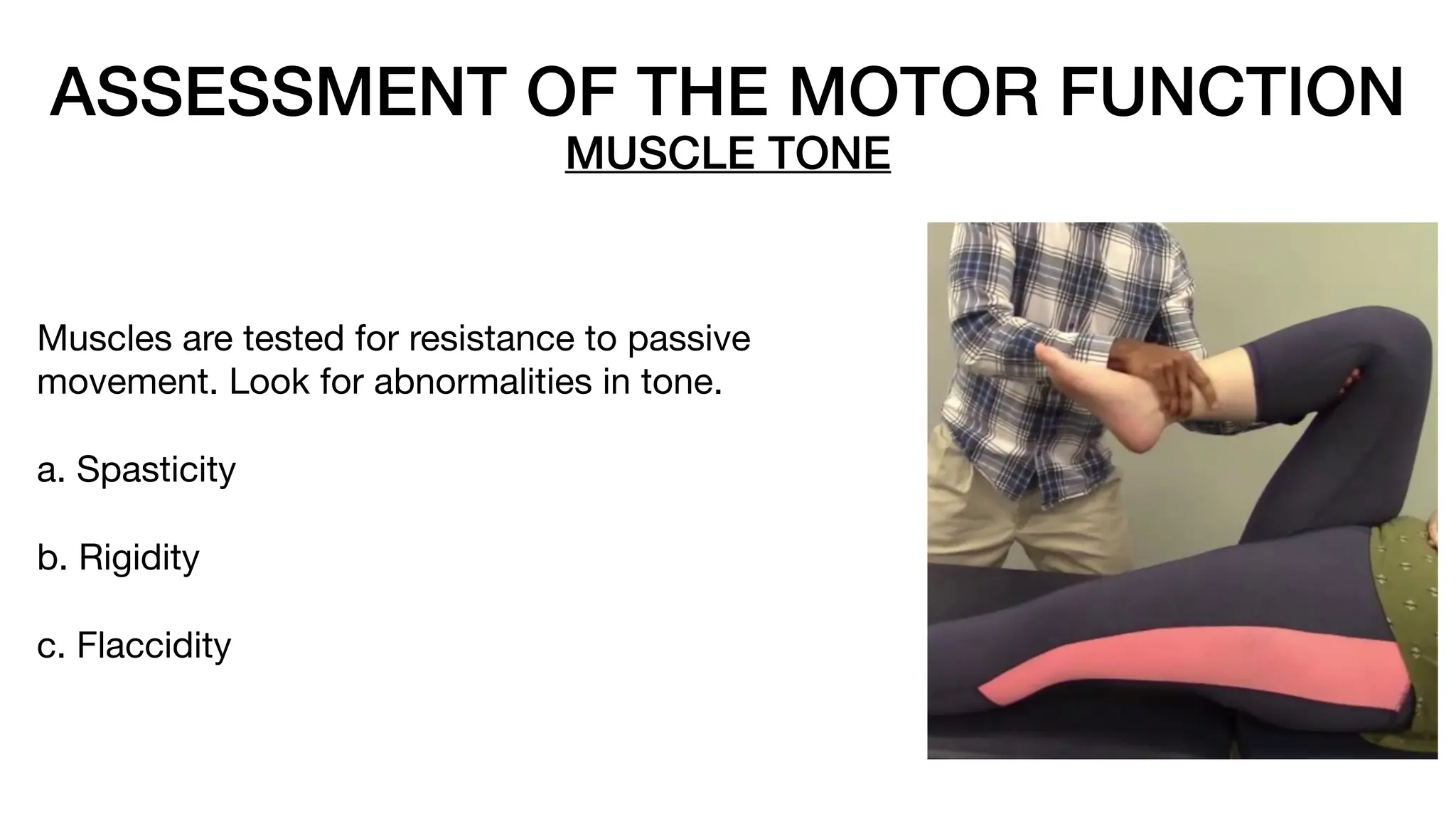Assessment of the Spinal Nerves (The Sensory and Motor Functions) & The ...