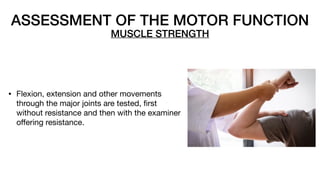 Assessment of the Spinal Nerves (The Sensory and Motor Functions) & The ...
