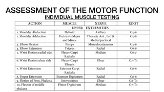 Assessment of the Spinal Nerves (The Sensory and Motor Functions) & The ...