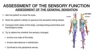 Assessment of the Spinal Nerves (The Sensory and Motor Functions) & The ...