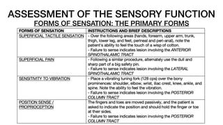Assessment of the Spinal Nerves (The Sensory and Motor Functions) & The ...