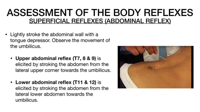 Assessment of the Spinal Nerves (The Sensory and Motor Functions) & The Reflexes.pdf