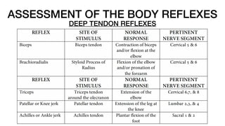 Assessment of the Spinal Nerves (The Sensory and Motor Functions) & The ...