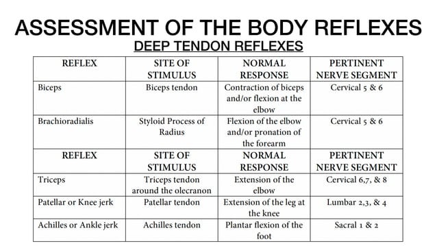 Assessment of the Spinal Nerves (The Sensory and Motor Functions) & The ...