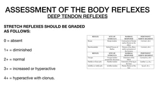 Assessment of the Spinal Nerves (The Sensory and Motor Functions) & The ...