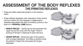 Assessment of the Spinal Nerves (The Sensory and Motor Functions) & The ...