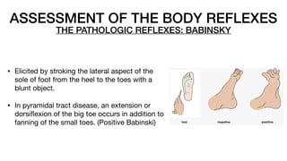 Assessment of the Spinal Nerves (The Sensory and Motor Functions) & The ...