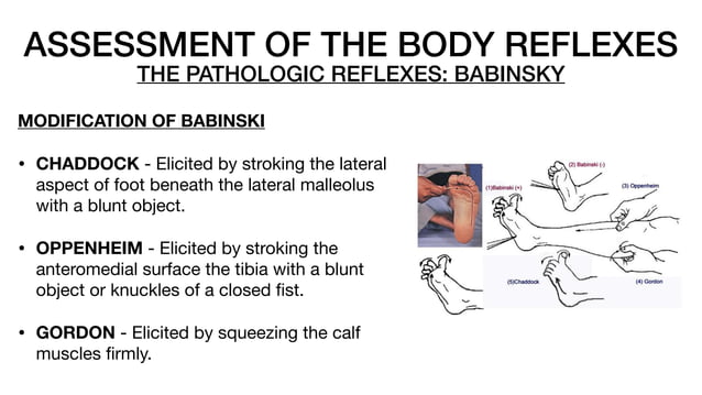 Assessment of the Spinal Nerves (The Sensory and Motor Functions) & The ...