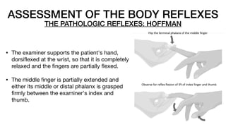 Assessment of the Spinal Nerves (The Sensory and Motor Functions) & The ...