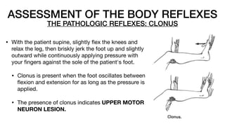 Assessment of the Spinal Nerves (The Sensory and Motor Functions) & The ...
