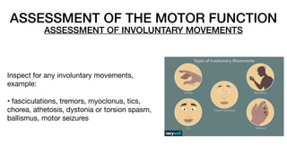 Assessment of the Spinal Nerves (The Sensory and Motor Functions) & The ...