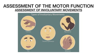 Assessment of the Spinal Nerves (The Sensory and Motor Functions) & The ...