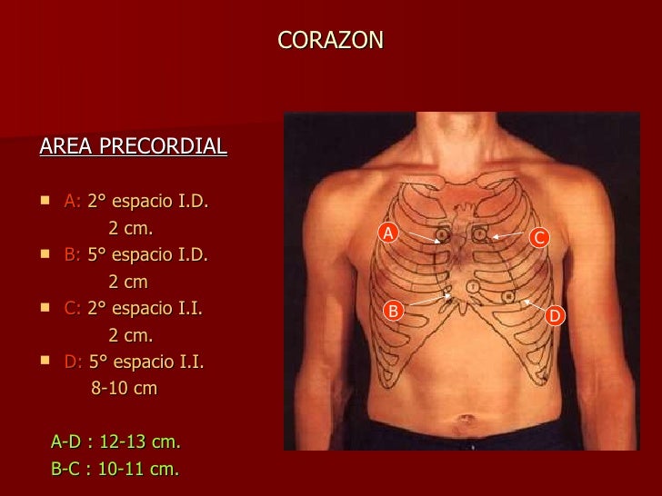 25 Corazon