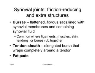 Structure and Function of Joints - MyPharmaGuide | PDF