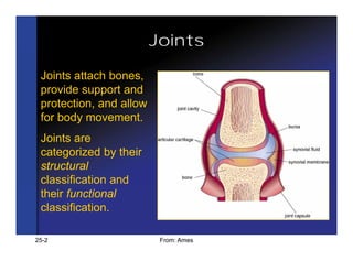 Structure and Function of Joints - MyPharmaGuide | PDF