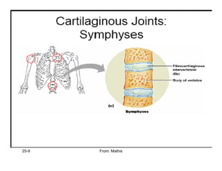 Structure and Function of Joints - MyPharmaGuide | PDF