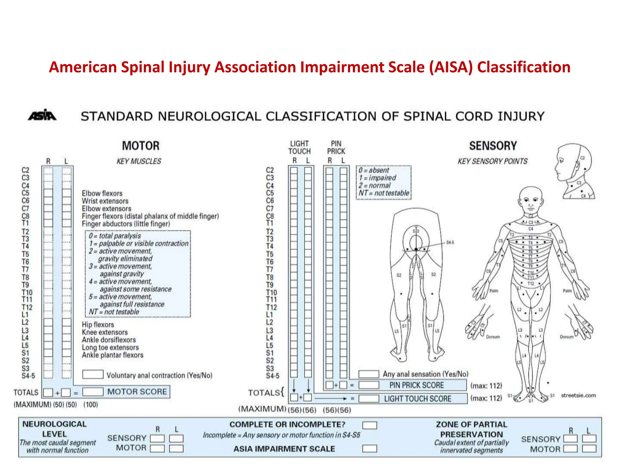 25- spinal injury.pptx