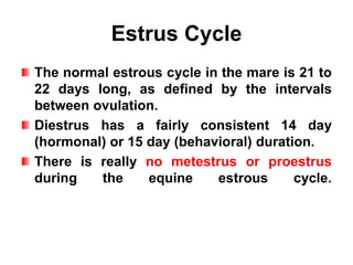 25 ther 608 equine reproductive physiology | PPT