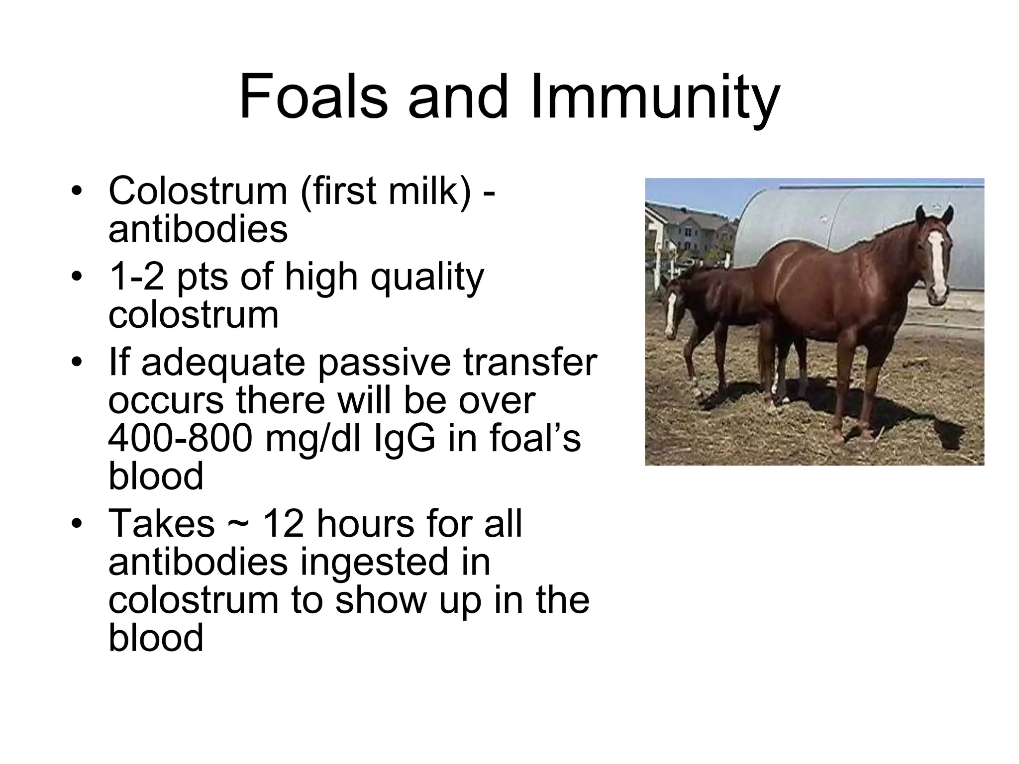 Equine Reproductive Physiology. | PPT