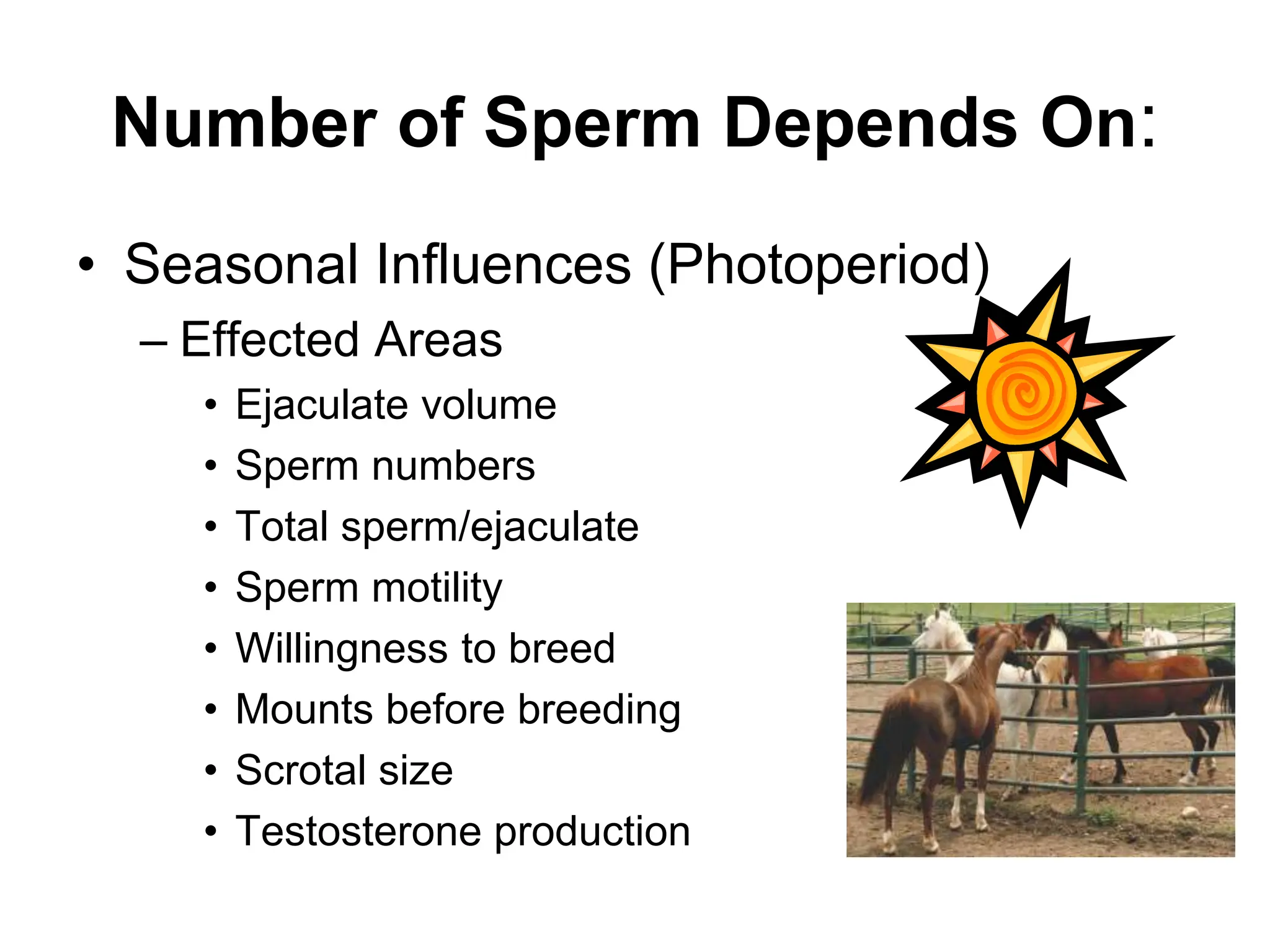 Equine Reproductive Physiology. | PPT