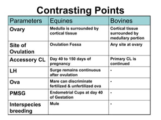 Equine Reproductive Physiology. | PPT