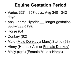Equine Reproductive Physiology. | PPT