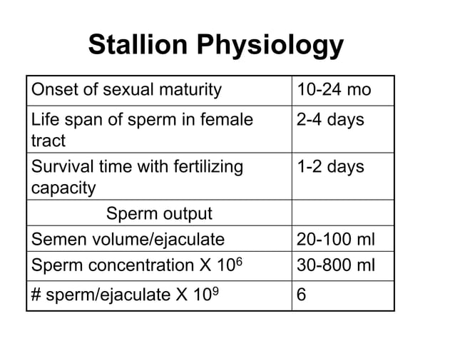 Equine Reproductive Physiology. | PPT