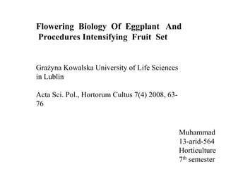 flowering biology of egg plant | PPTX