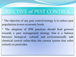 250376487-IPM-IN-CABBage-pptx.pptx