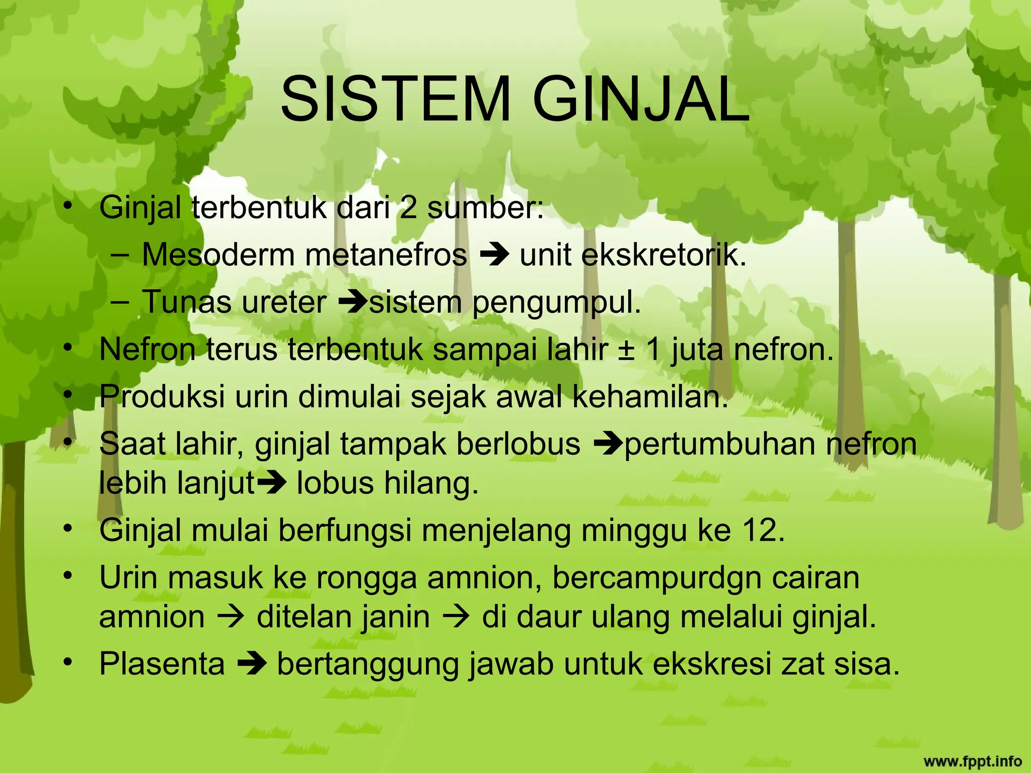 250387111-EMBRIOLOGI-SISTEM-UROGENITAL-2-ppt.ppt