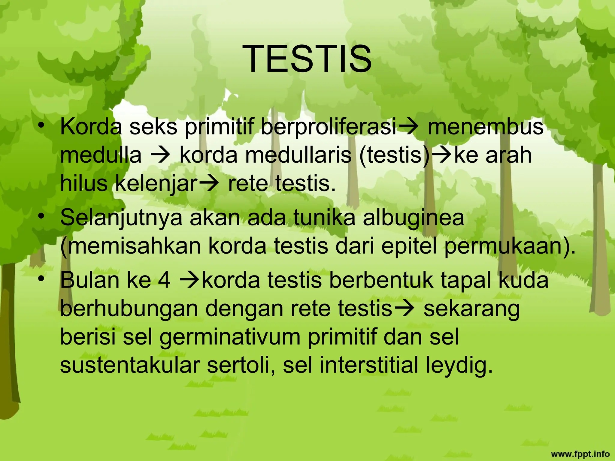 250387111-EMBRIOLOGI-SISTEM-UROGENITAL-2-ppt.ppt