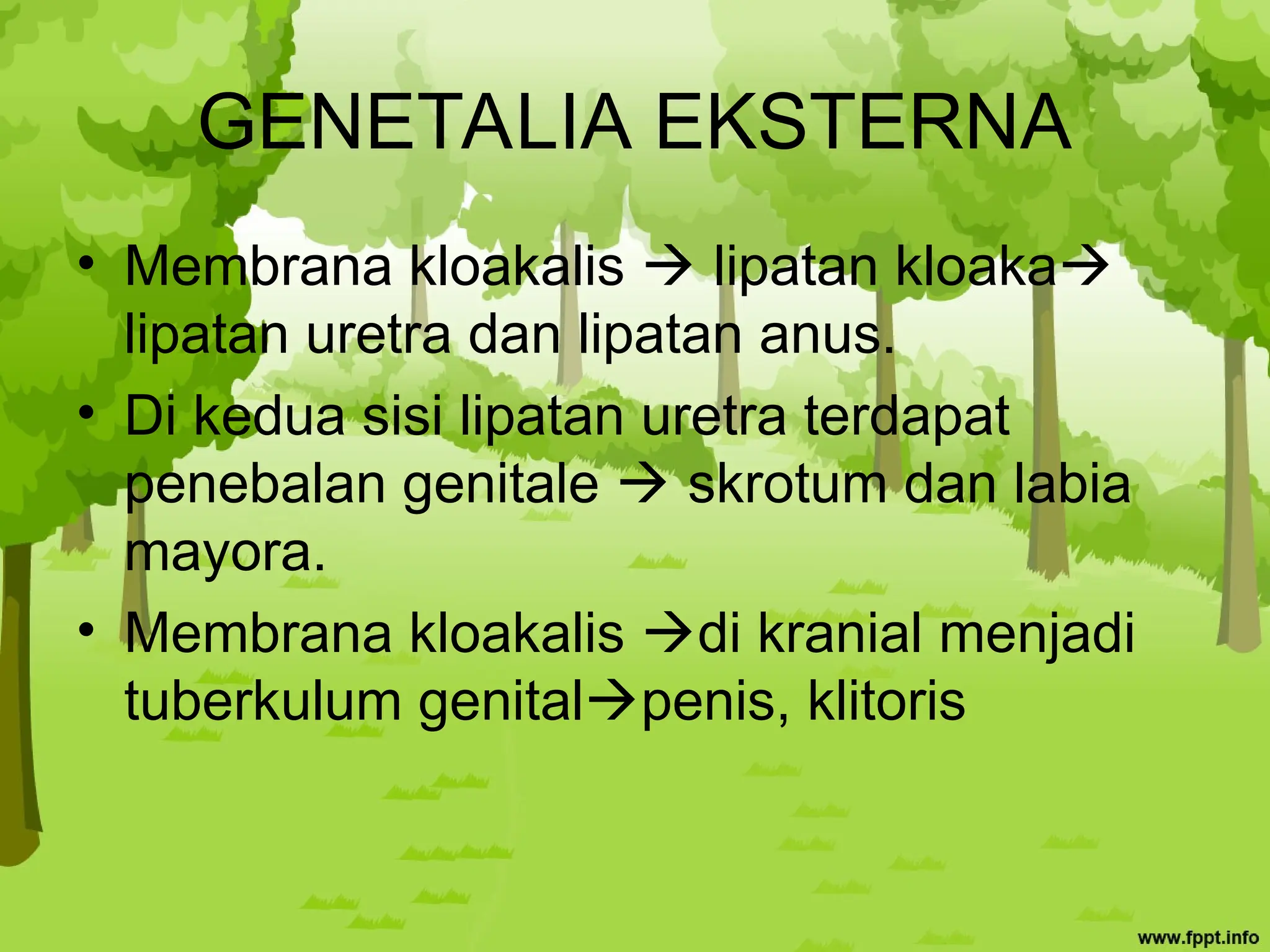 250387111-EMBRIOLOGI-SISTEM-UROGENITAL-2-ppt.ppt
