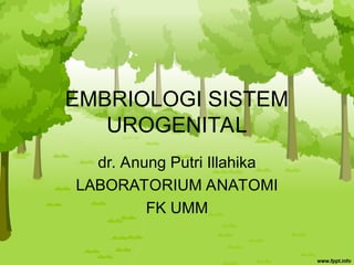 250387111-EMBRIOLOGI-SISTEM-UROGENITAL-2-ppt.ppt