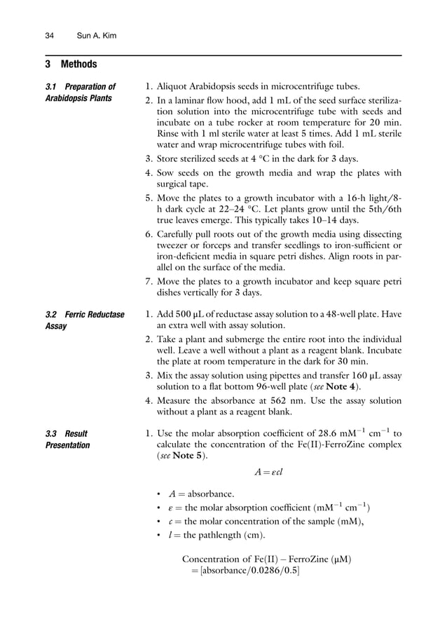 Plant Iron Homeostasis Methods And Protocols Jeeyon Jeong | PDF
