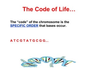 Presentation on introduction to Genetics | PPT | Genetics | Science